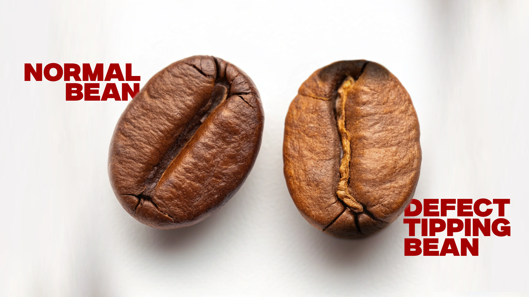 WE Coffee